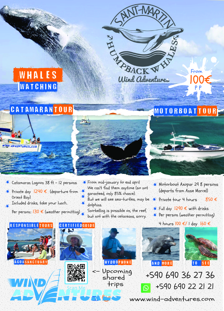 Our flyers - Wind Adventures